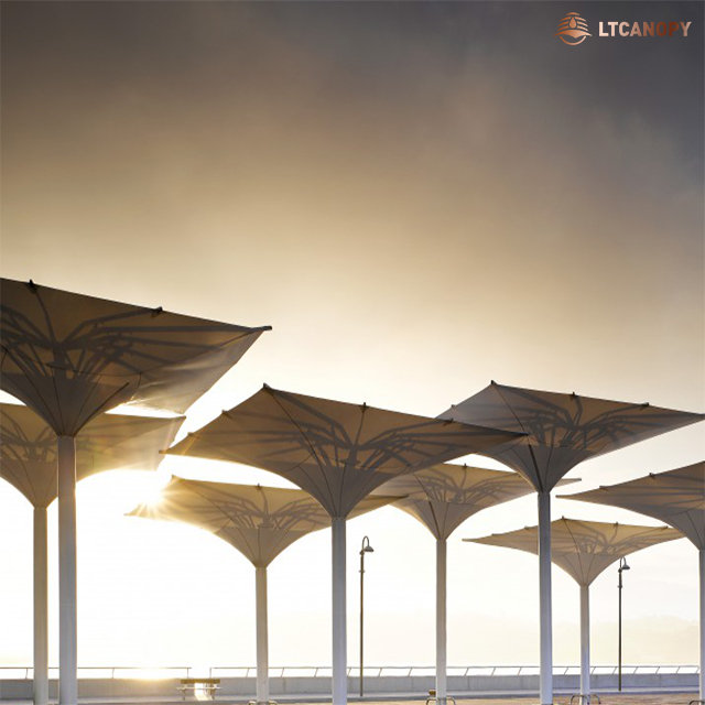 Different Types And Shapes Of Tensile Membrane Structures Fabric ...